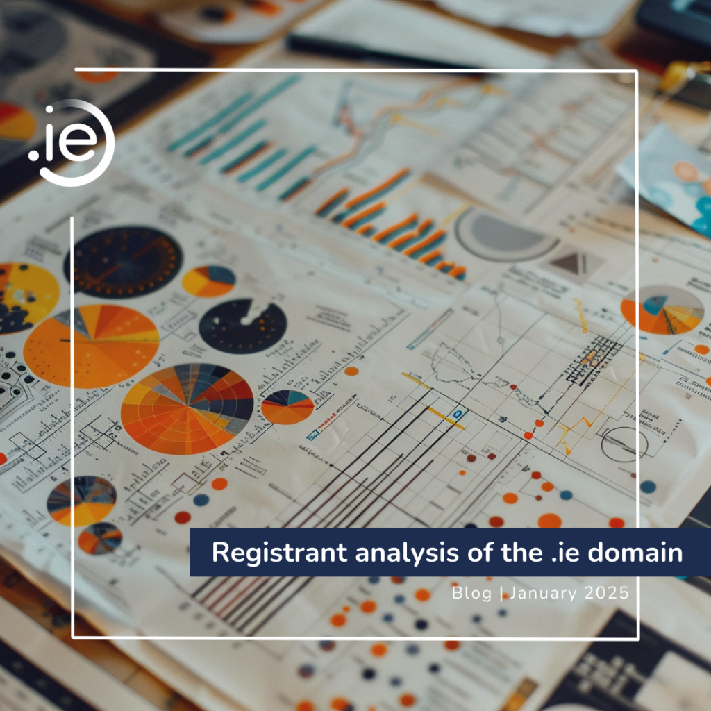 Blog | Registrant Analysis of the .ie Domain